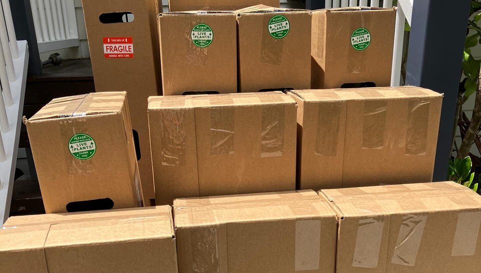 Shipping across Australia – Fruit Tree Cottage