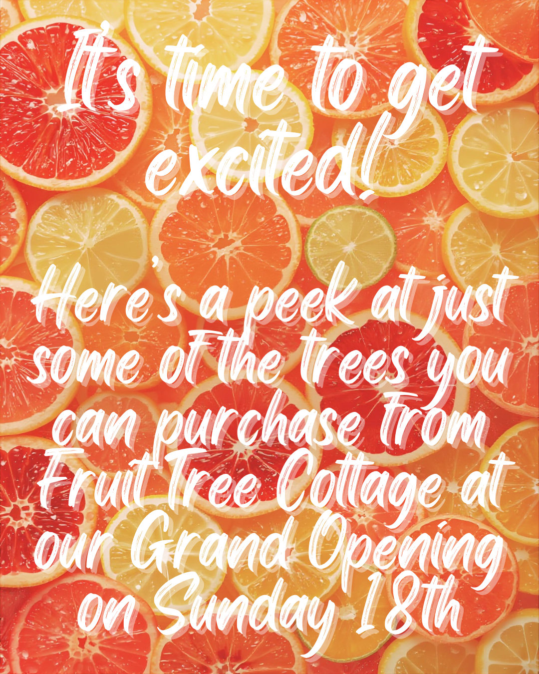 What’s available to purchase – Fruit Tree Cottage