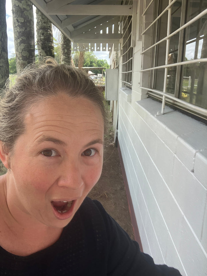 Loads of progress at the new barn! – Fruit Tree Cottage