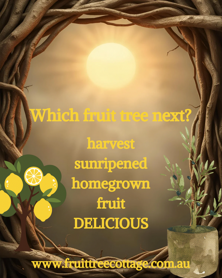 Which fruit tree will you choose next? – Fruit Tree Cottage