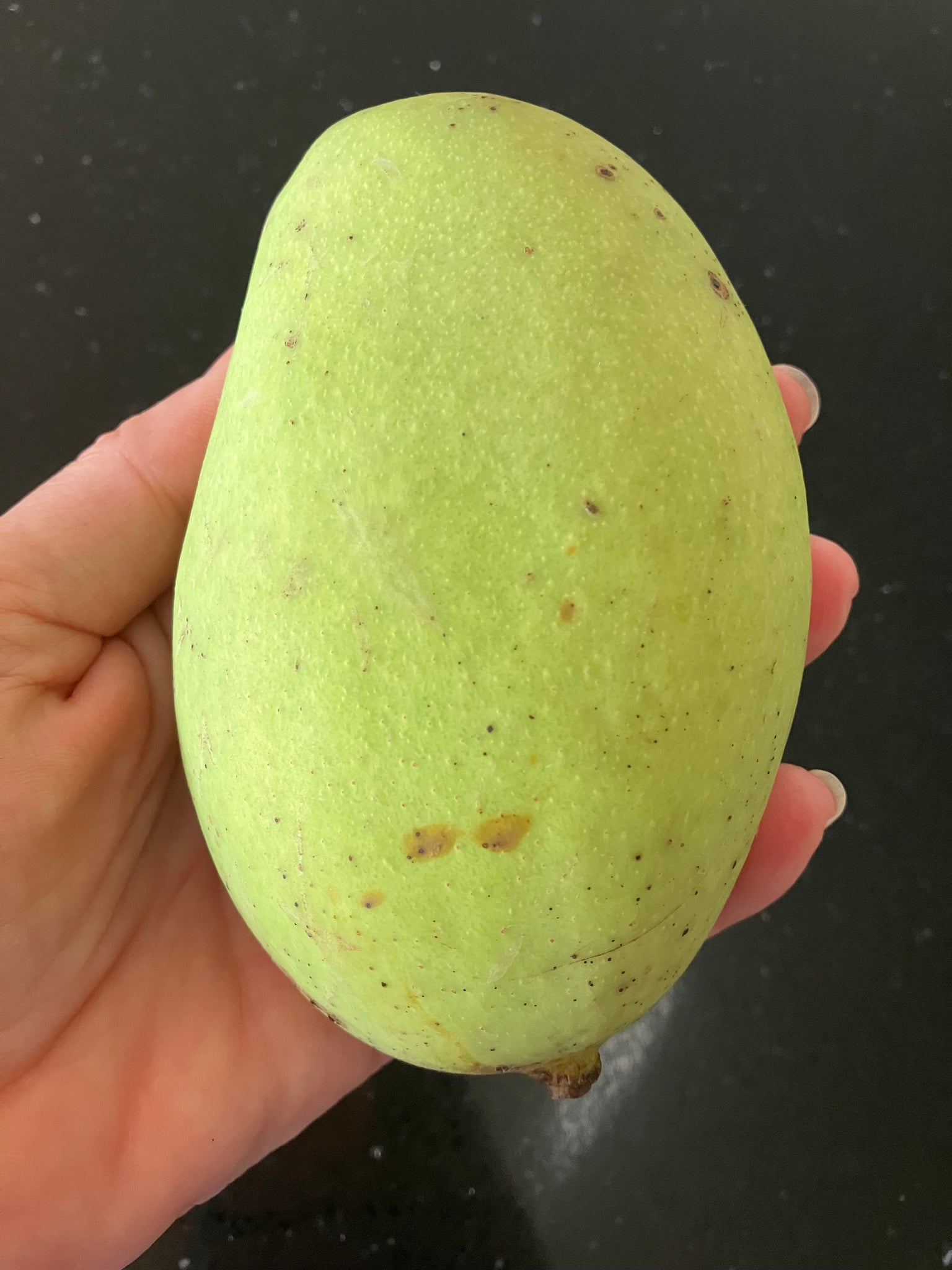 Mango | Orange Sherbet – Buy Now from Fruit Tree Cottage