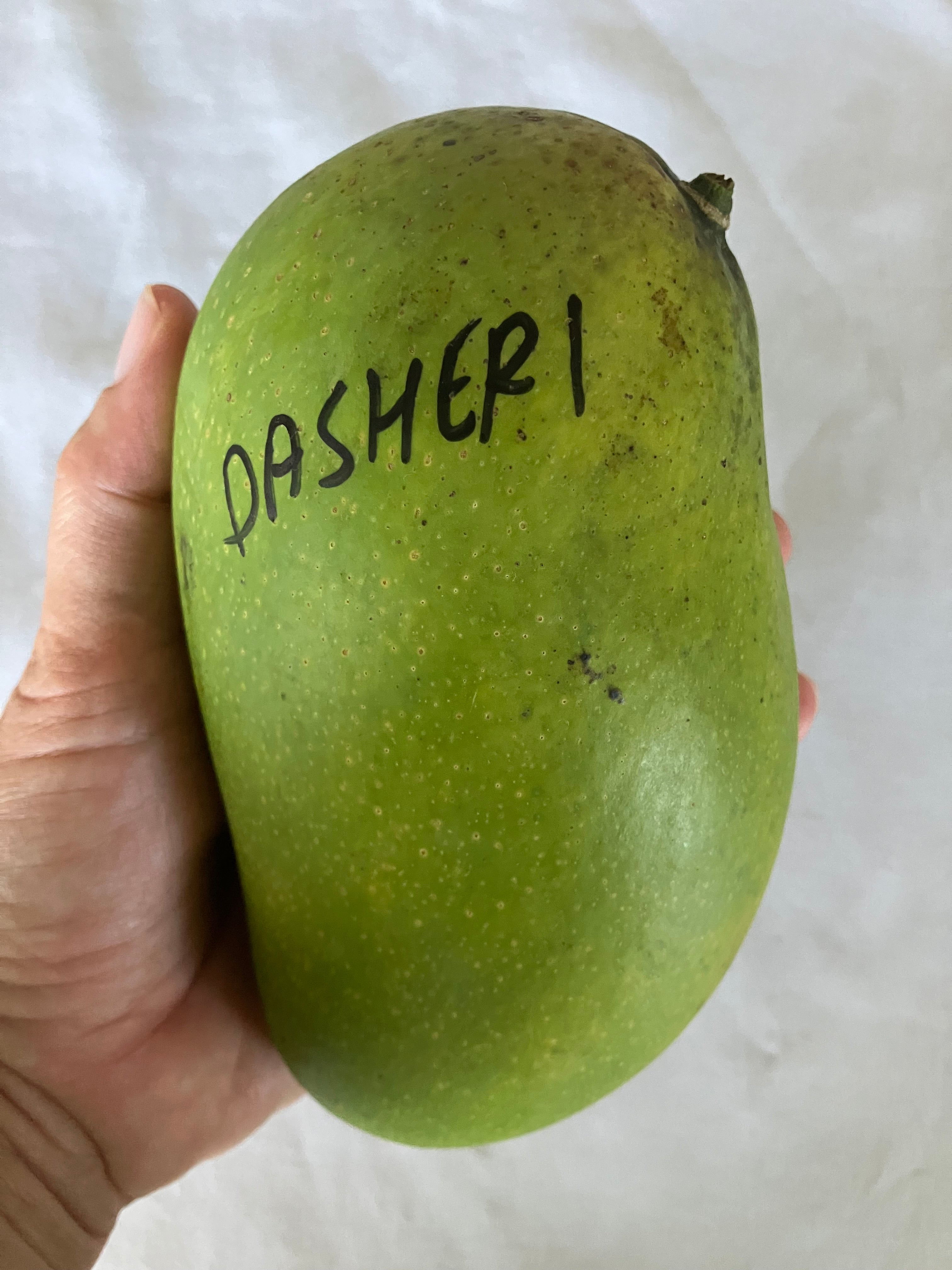 Mango | Dasheri – Buy Now from Fruit Tree Cottage