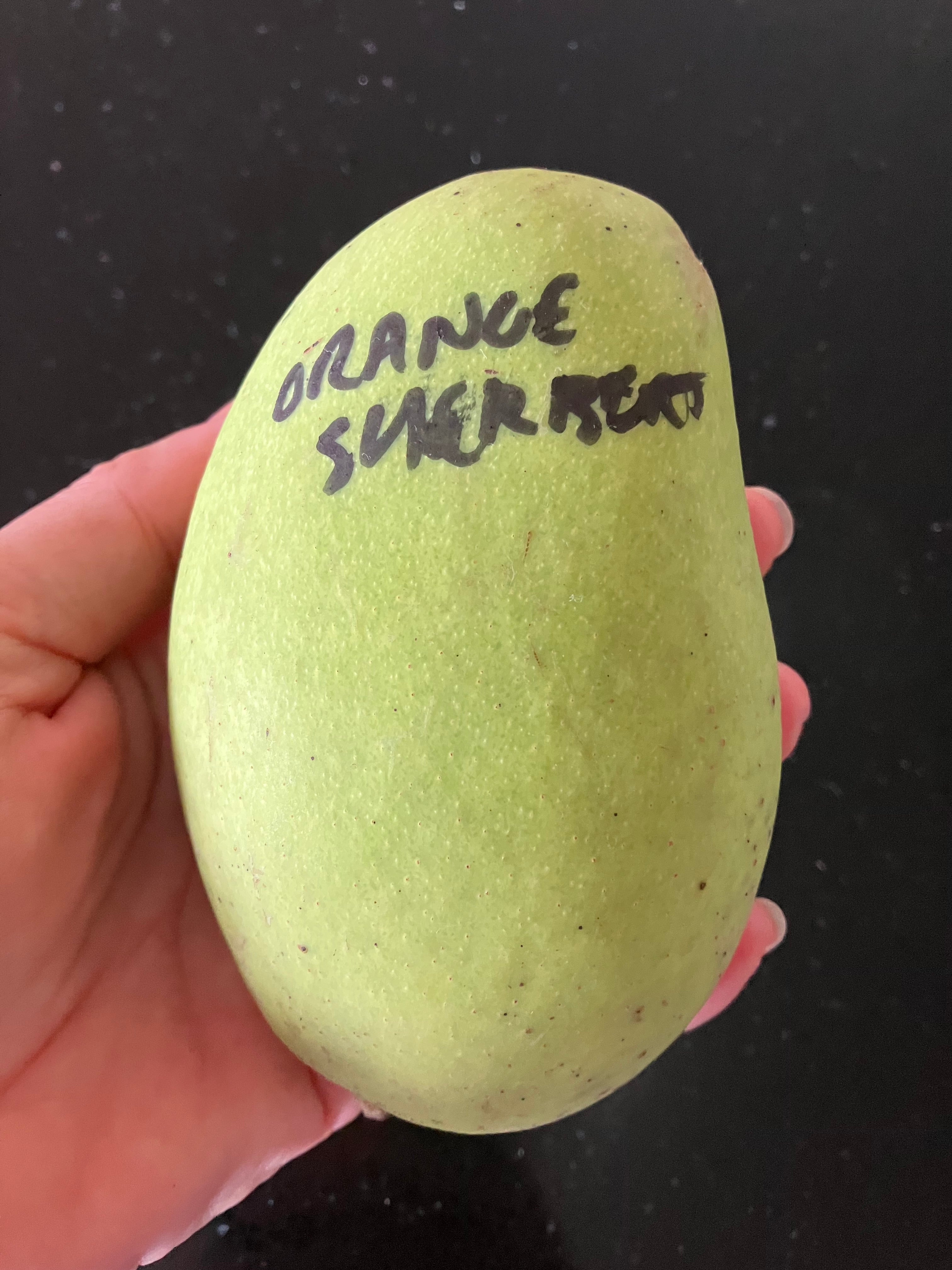 Mango | Orange Sherbet – Buy Now from Fruit Tree Cottage