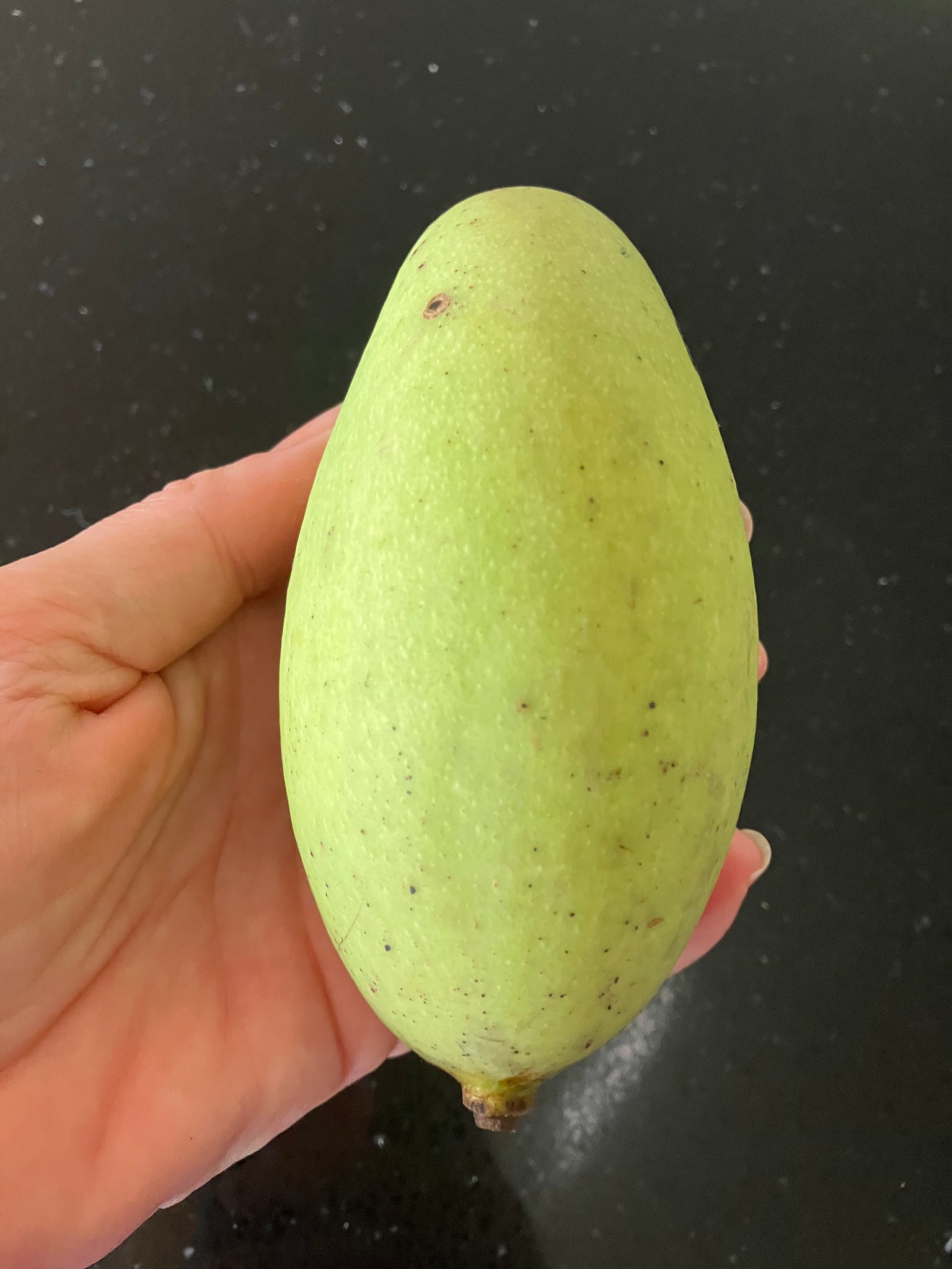 Mango | Orange Sherbet – Buy Now from Fruit Tree Cottage