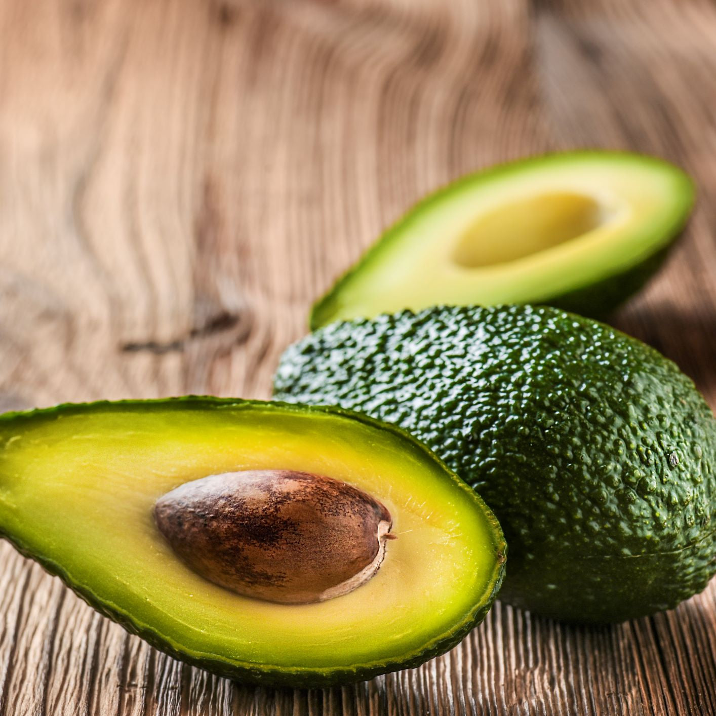 Avocado | Shepard – Buy Now from Fruit Tree Cottage