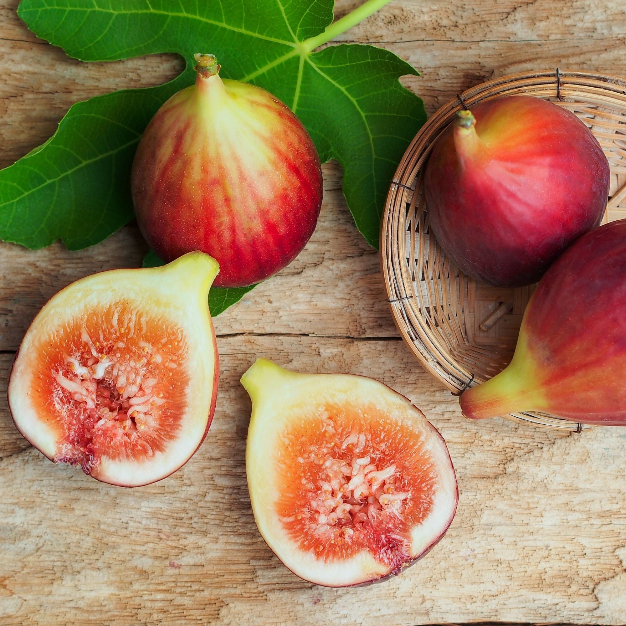 Brown Turkey Figs