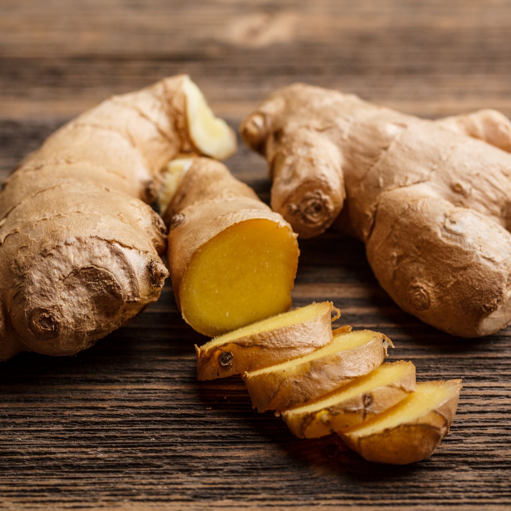 Ginger | Zingiber Officinale – Buy Now from Fruit Tree Cottage