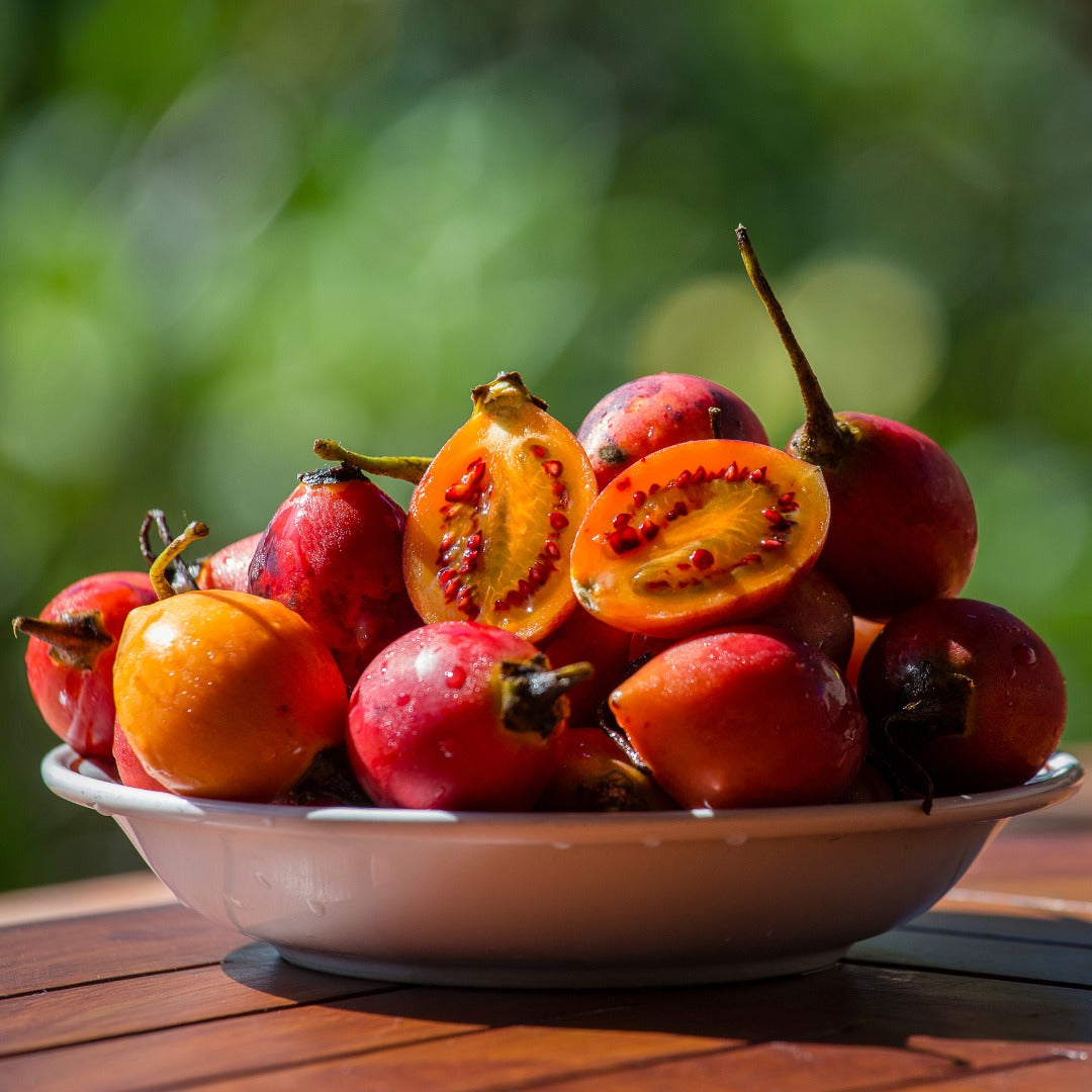 Tamarillo | Red Tamarillo – Buy Now from Fruit Tree Cottage